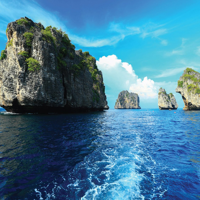 Trippollo : Travel Agency