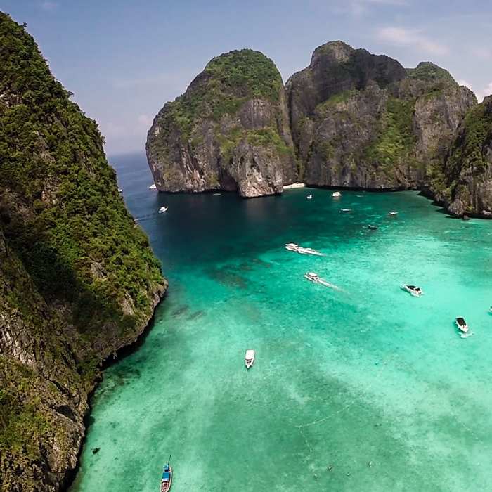 Trippollo : Travel Agency