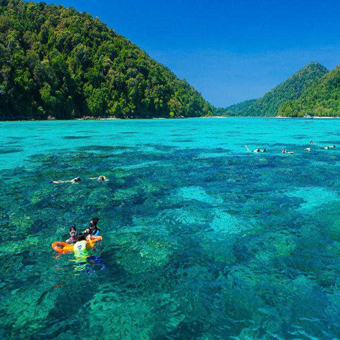 Trippollo : Travel Agency